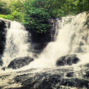 Charavne Waterfalls in Sattari Goa | Only In Your State Only In Your State